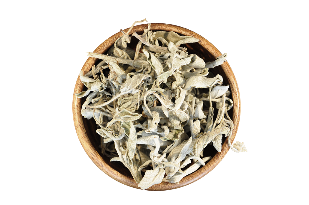 AdaÇayı – Türer A.Ş.